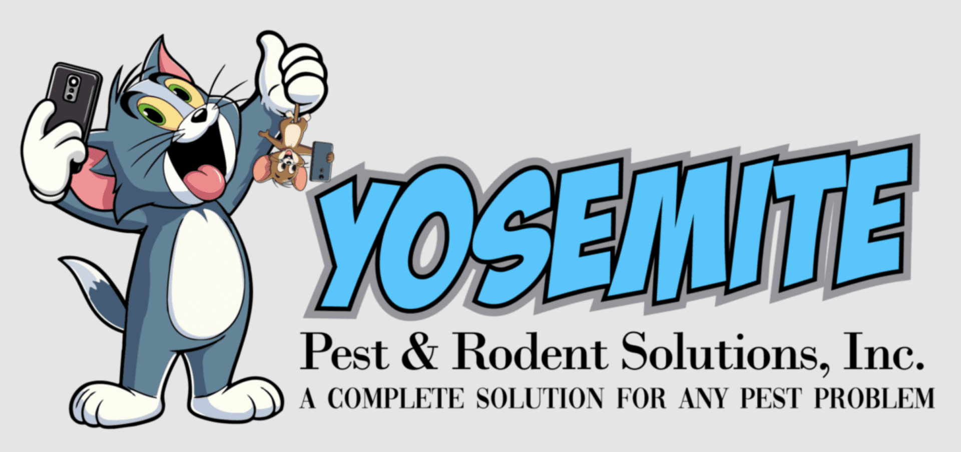 Rodent Control Naperville | Mice Pest Control Near Me
